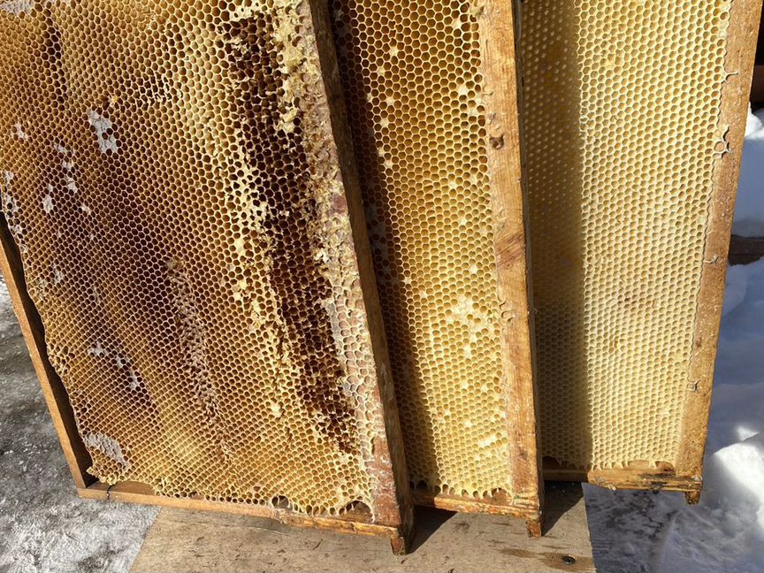 Продам сушь