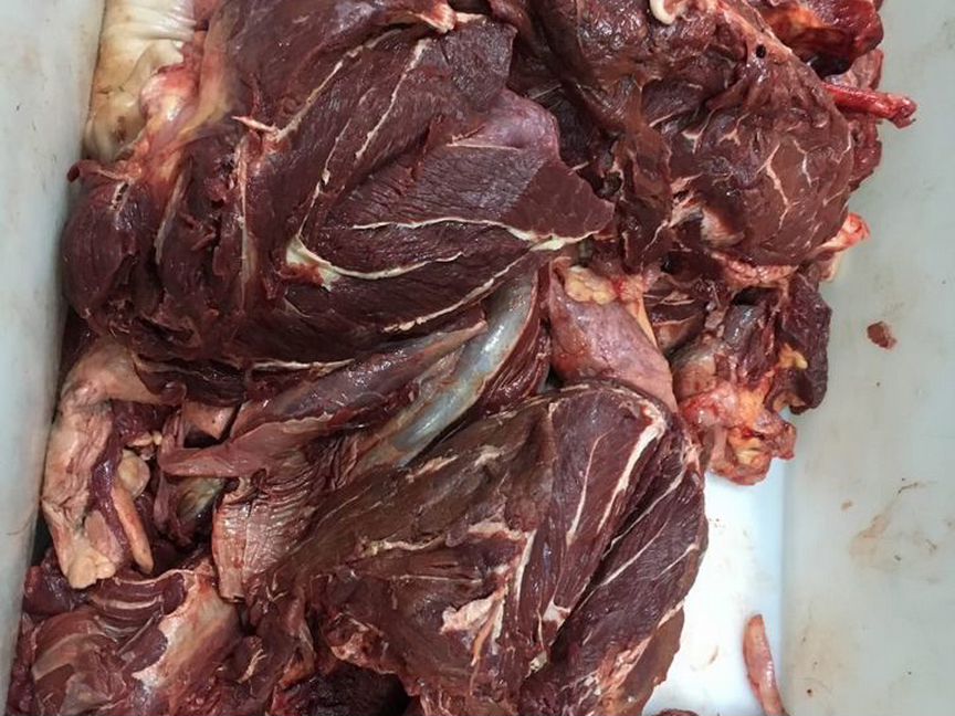 Мясо для собак