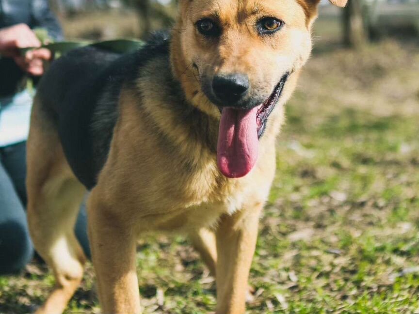 Подарит любовь родителям