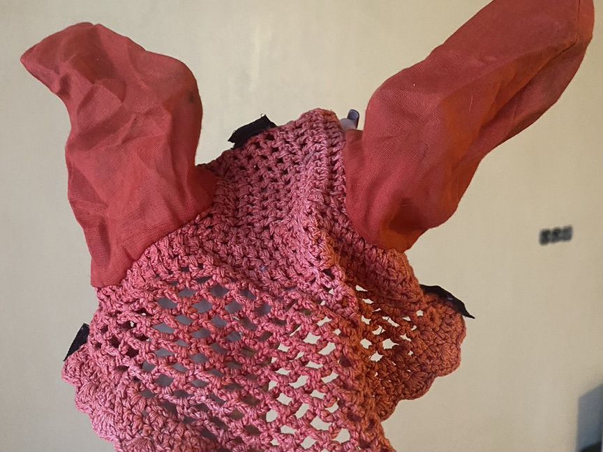 Ушки для лошади и перчатки