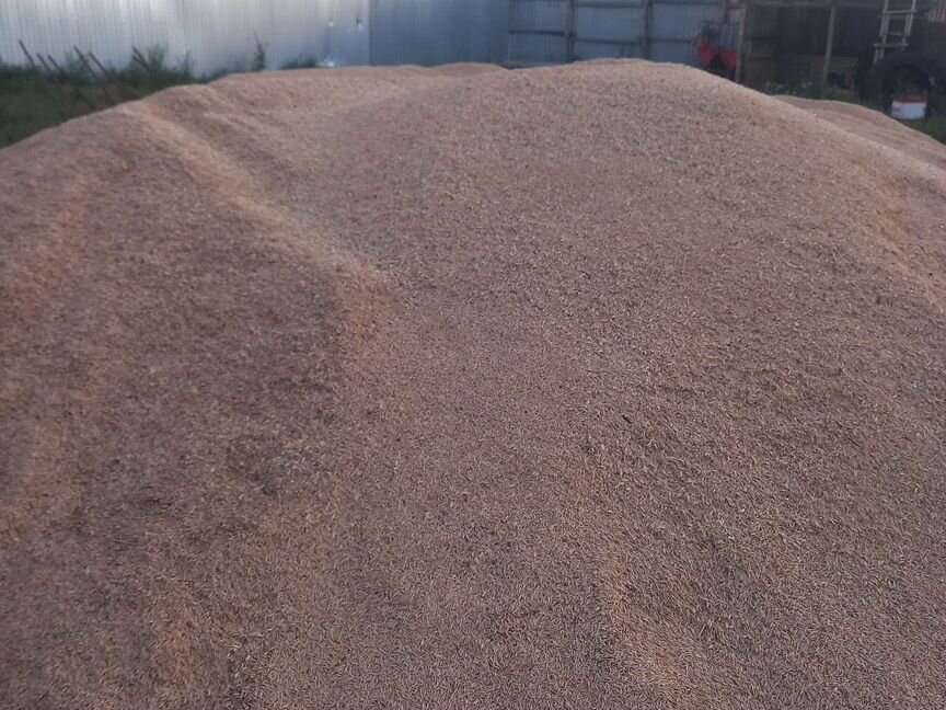 Пшеница,ячмень фураж