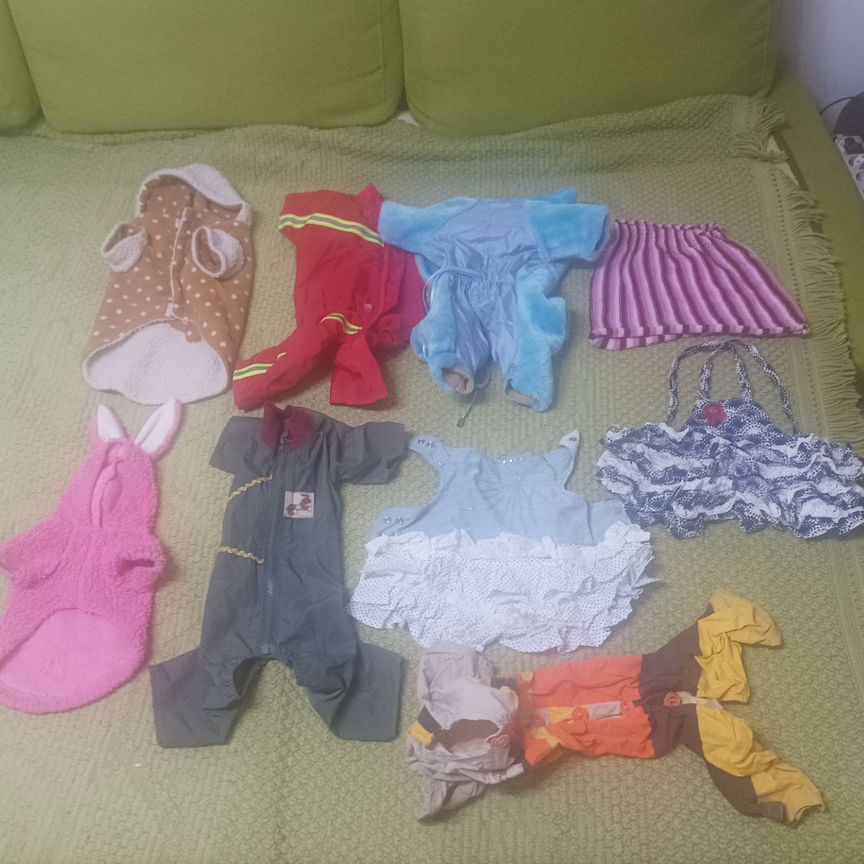 Одежда для маленьких собак