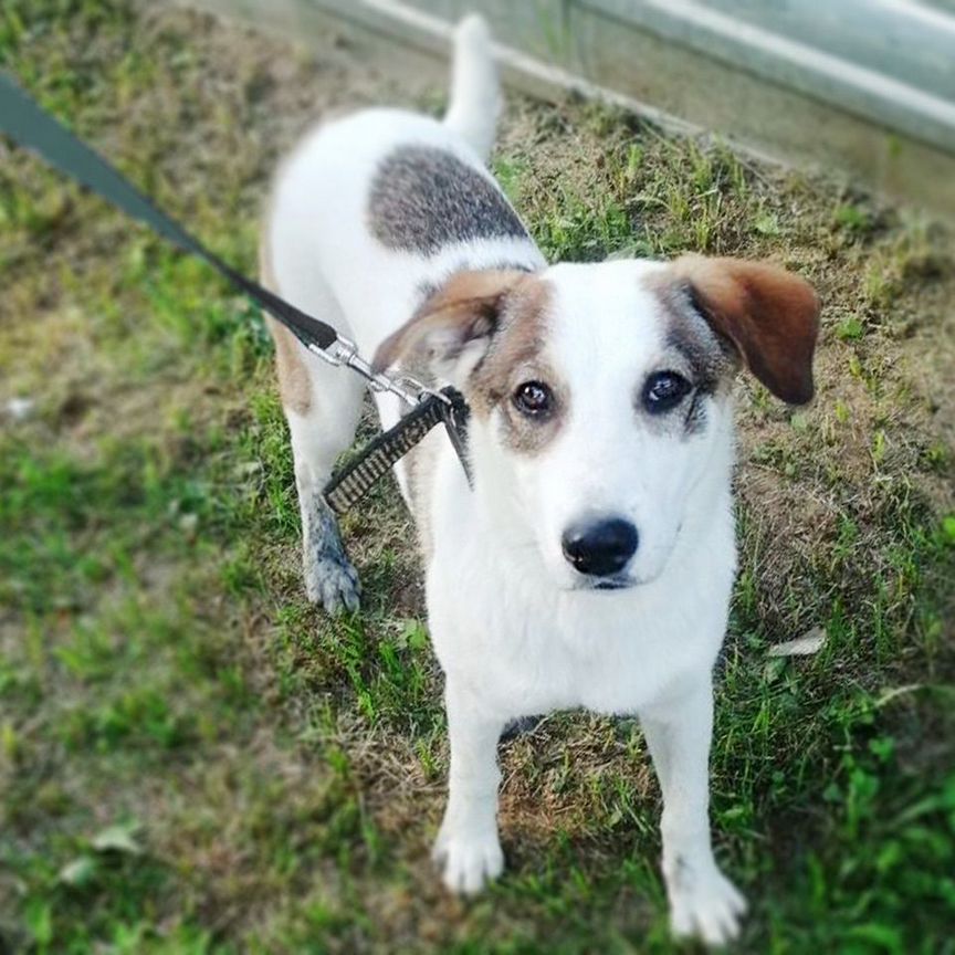 Чудесная девочка по имени Юна ищет заботу и семью