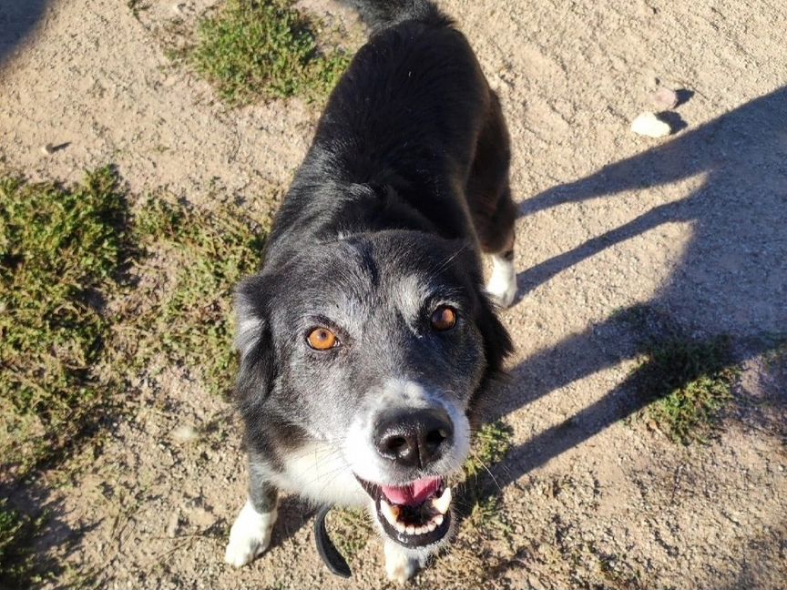 Мишка ищет семью