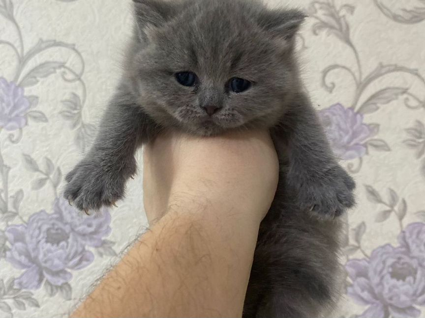 Мимишка