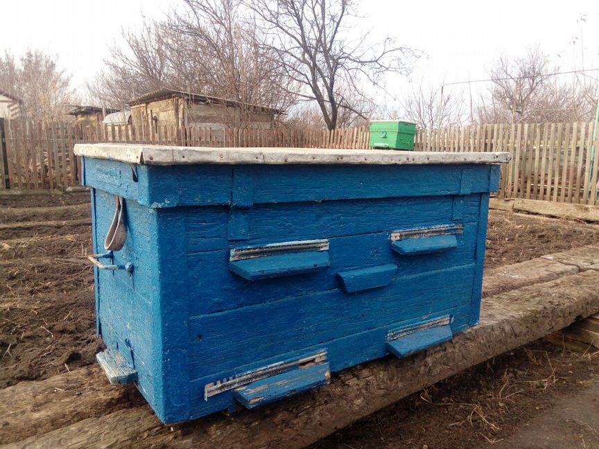 Улей лежак на 24 рамки