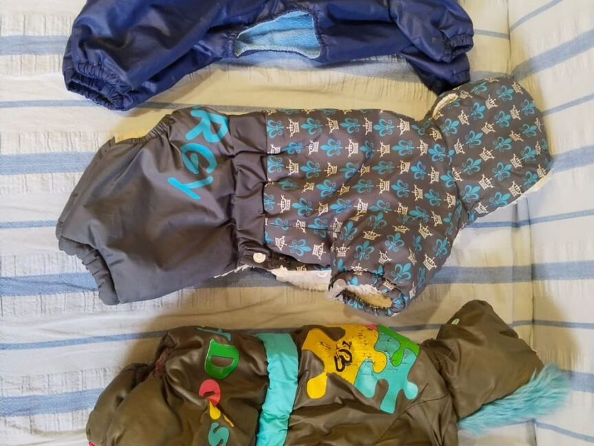 Комбинезоны жилетки обувь