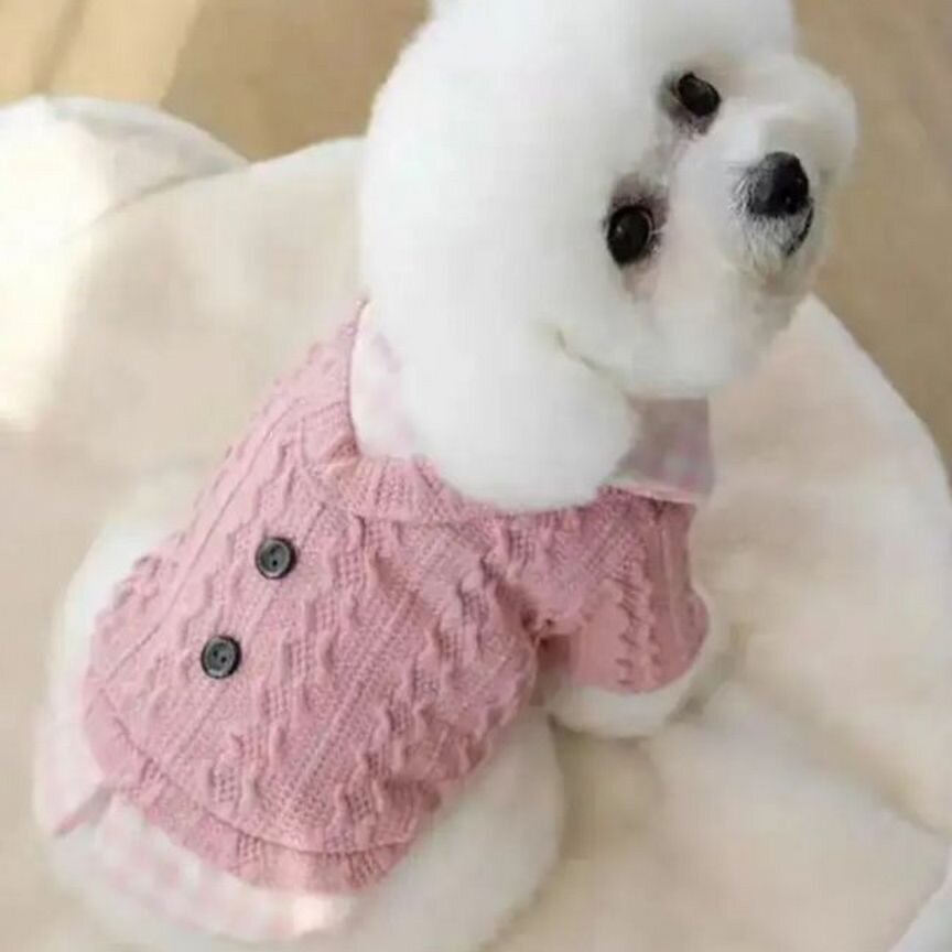 Кофта для собак мелких пород и кошек