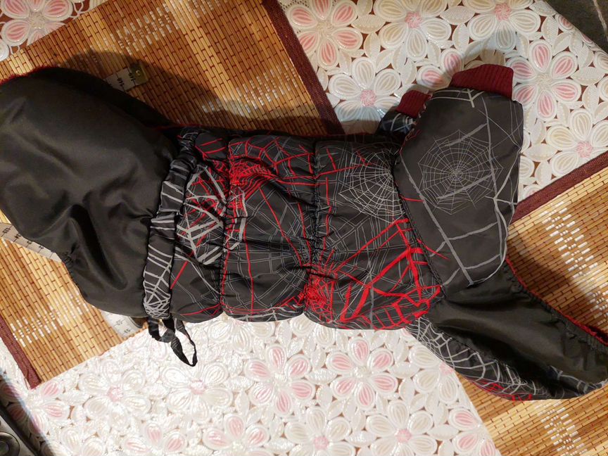 Костюмчик для собаки (девочки)