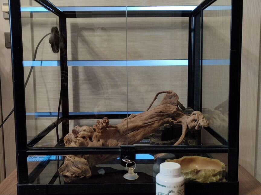 Террариум для рептилий