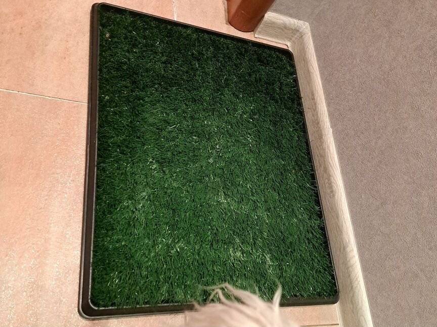 Лоток туалет для собак