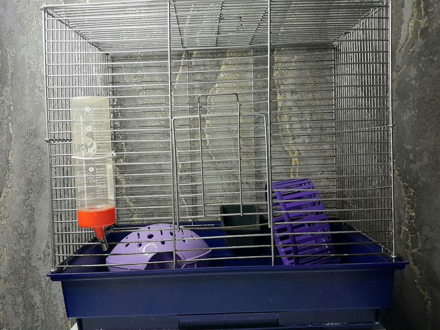 Товары для хомяков