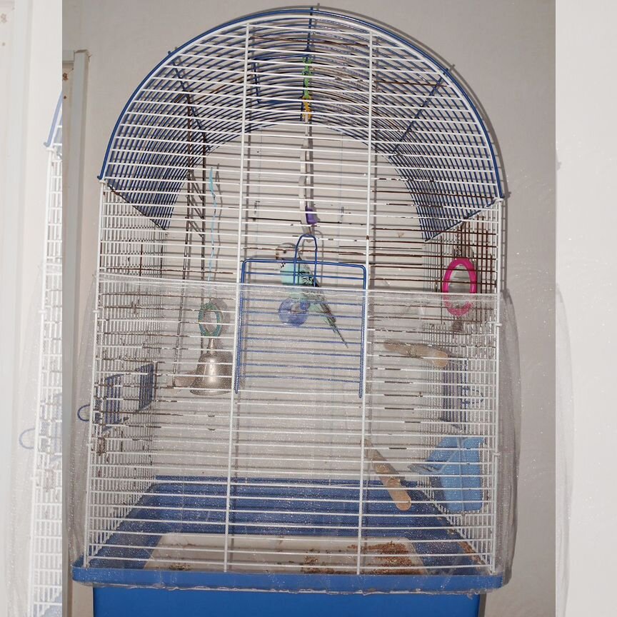 Волнистый попугай с клеткой