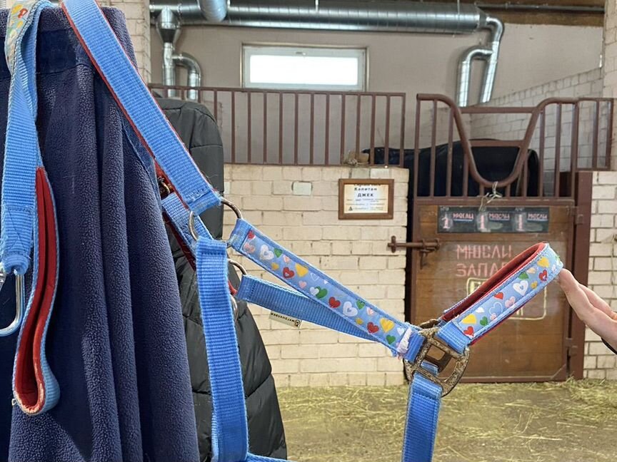 Недоуздок для лошади