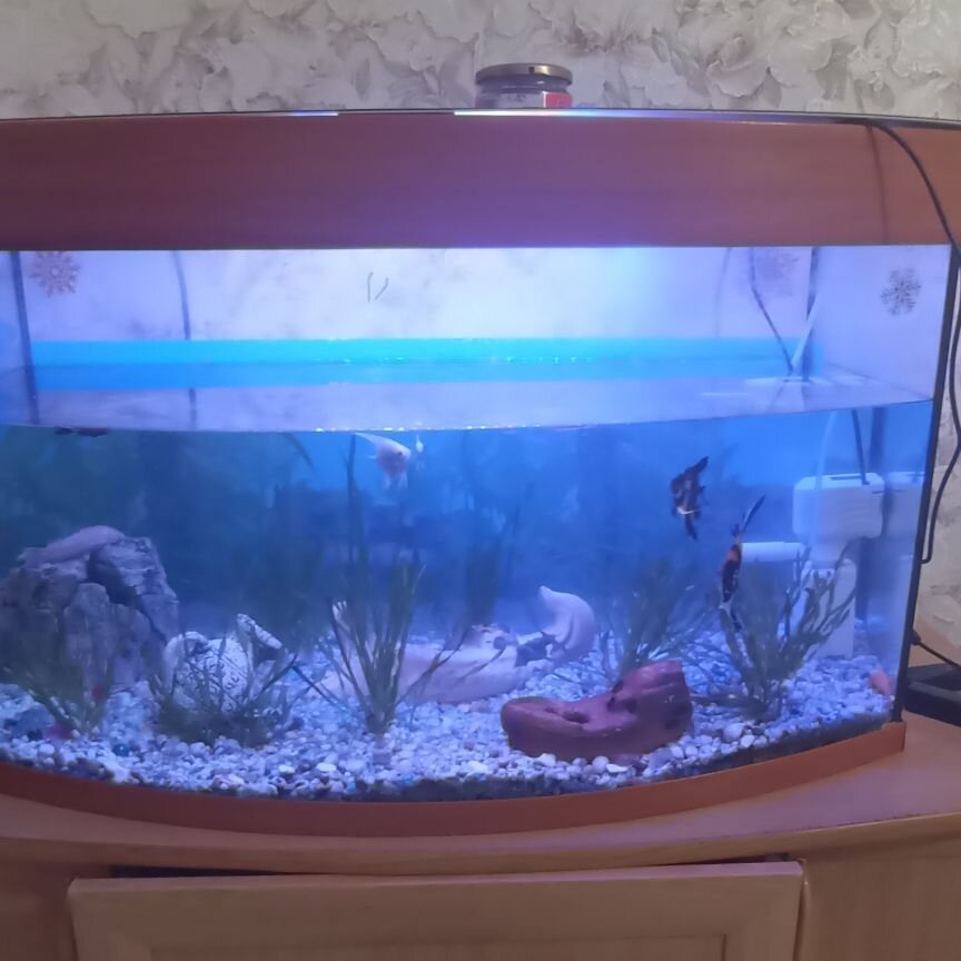 Аквариум для рыбок