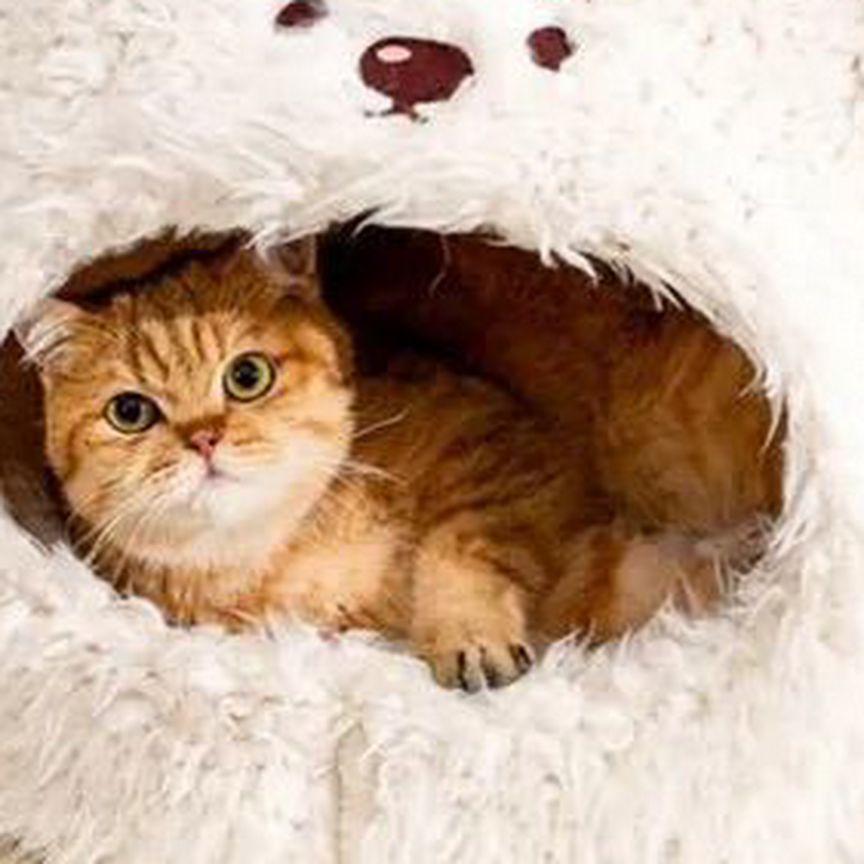 Лежанка домик для кошек для домашних животных