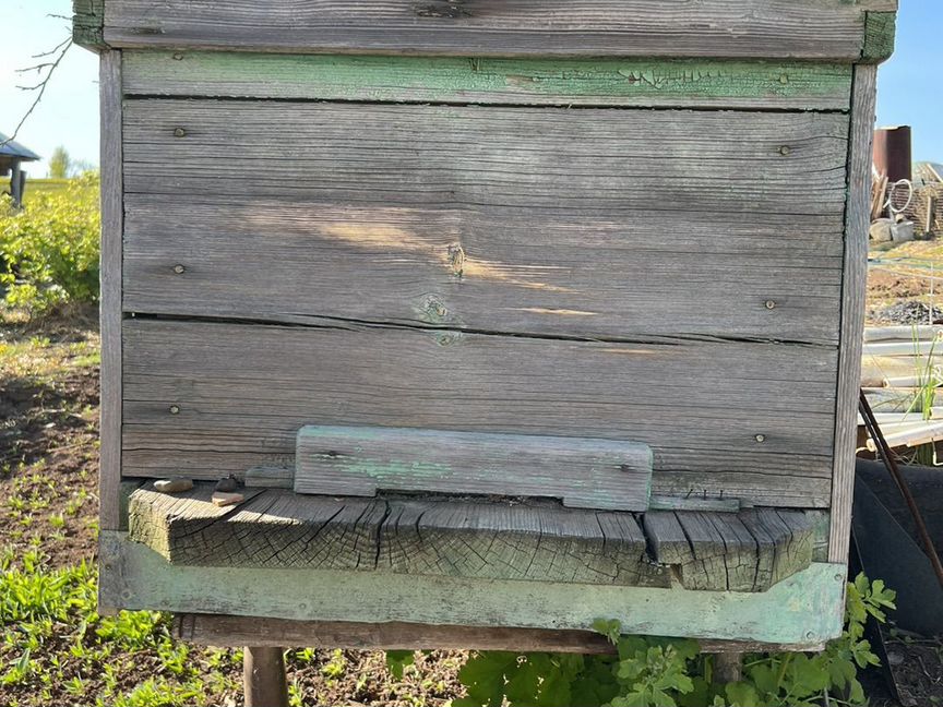 Домики для пчел