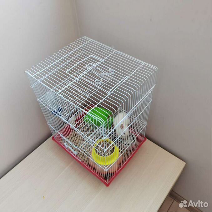 Продам двух крыс с клеткой