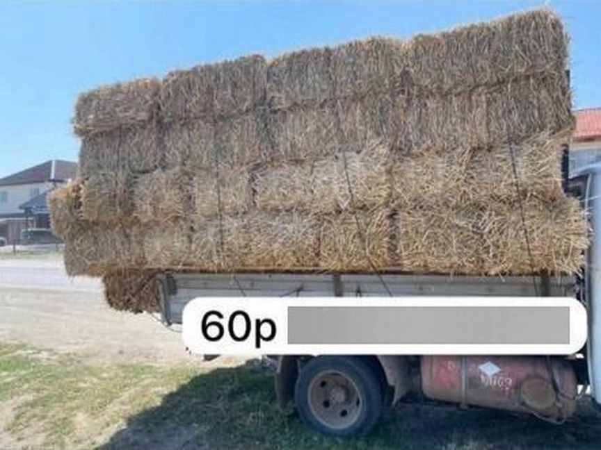 Сено в тюках
