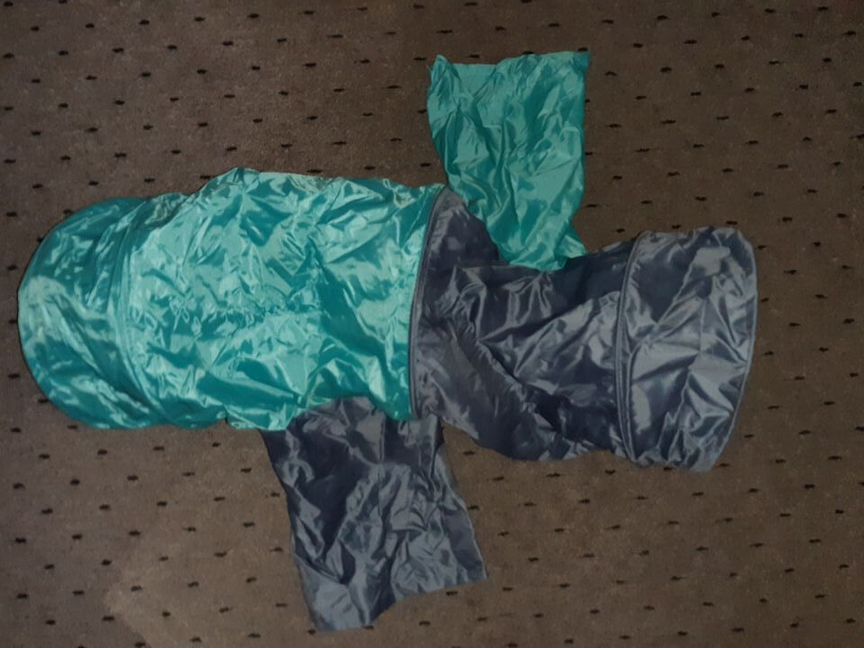 Тоннель и трек для кошек