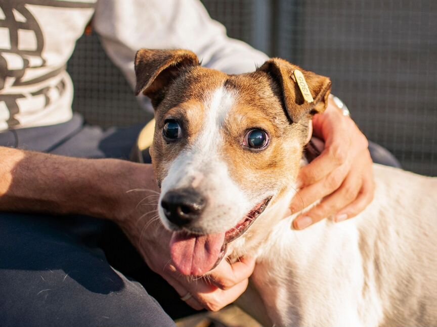 Особенный мальчик хочет домой