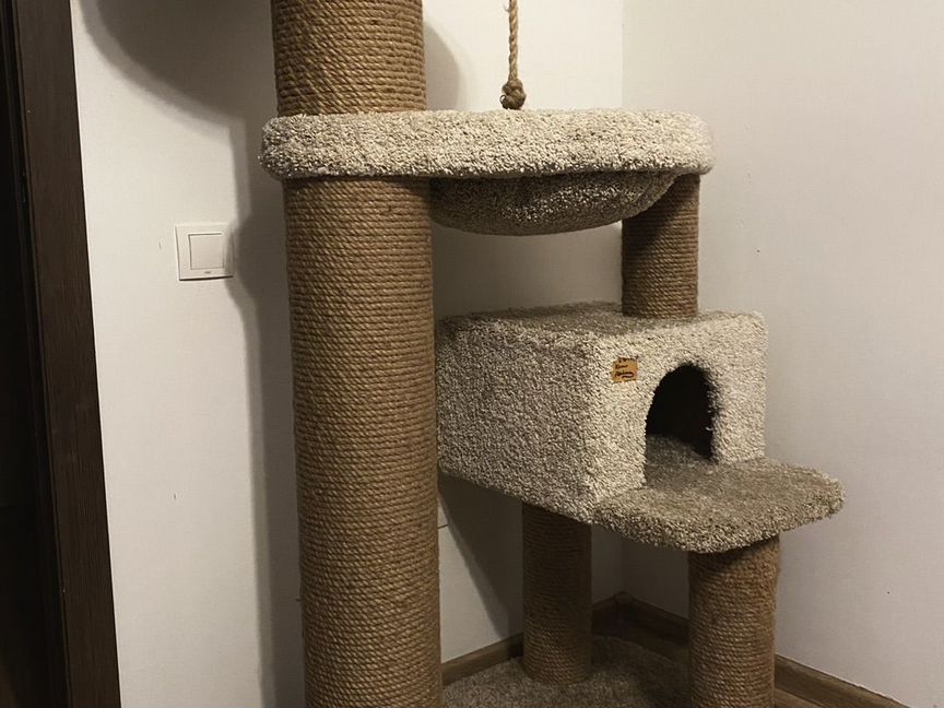 Когтеточка-комплекс