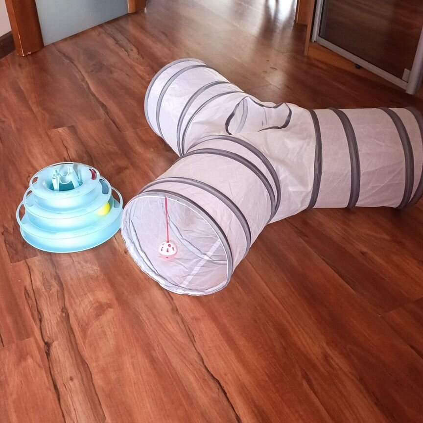 Игрушки для кошек бесплатно