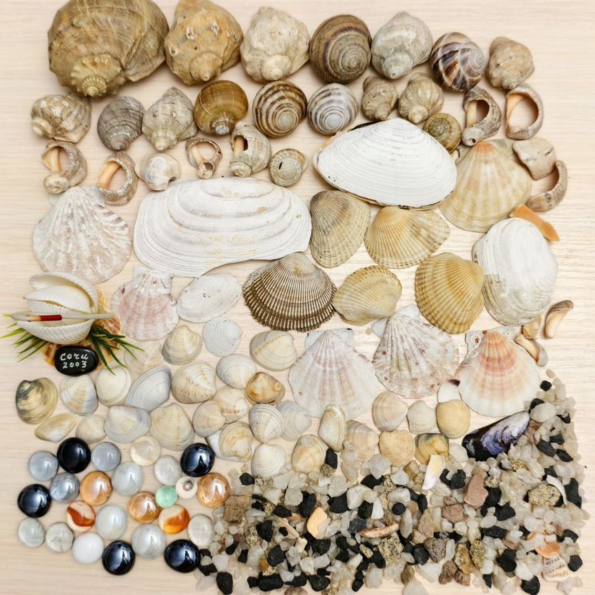 Морские ракушки, марбалс, камушки