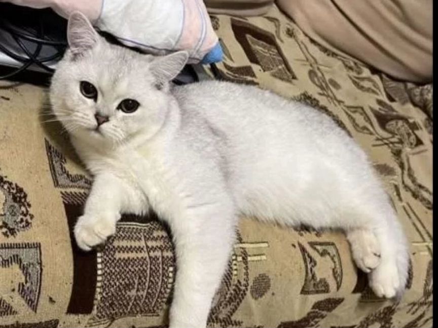 Вязка