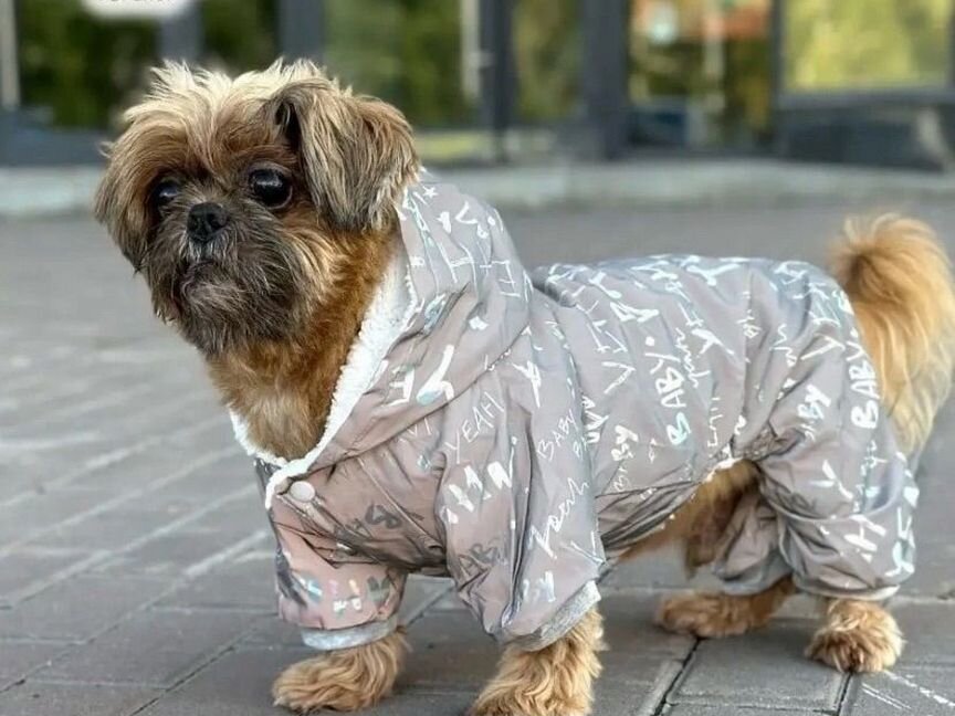 Комбинезон для маленькой собаки размер S