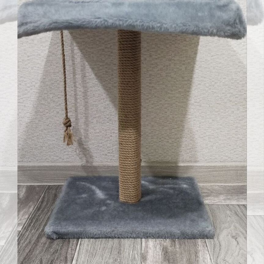 Когтеточка