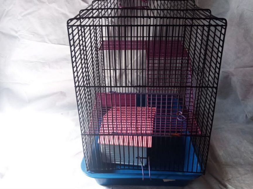 Клетка для грызунов бу