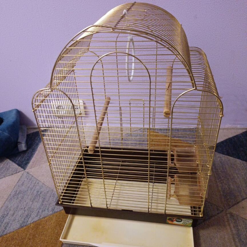 Клетка