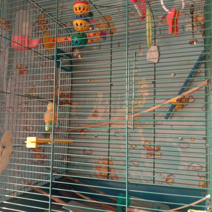 Клетка для попугаев