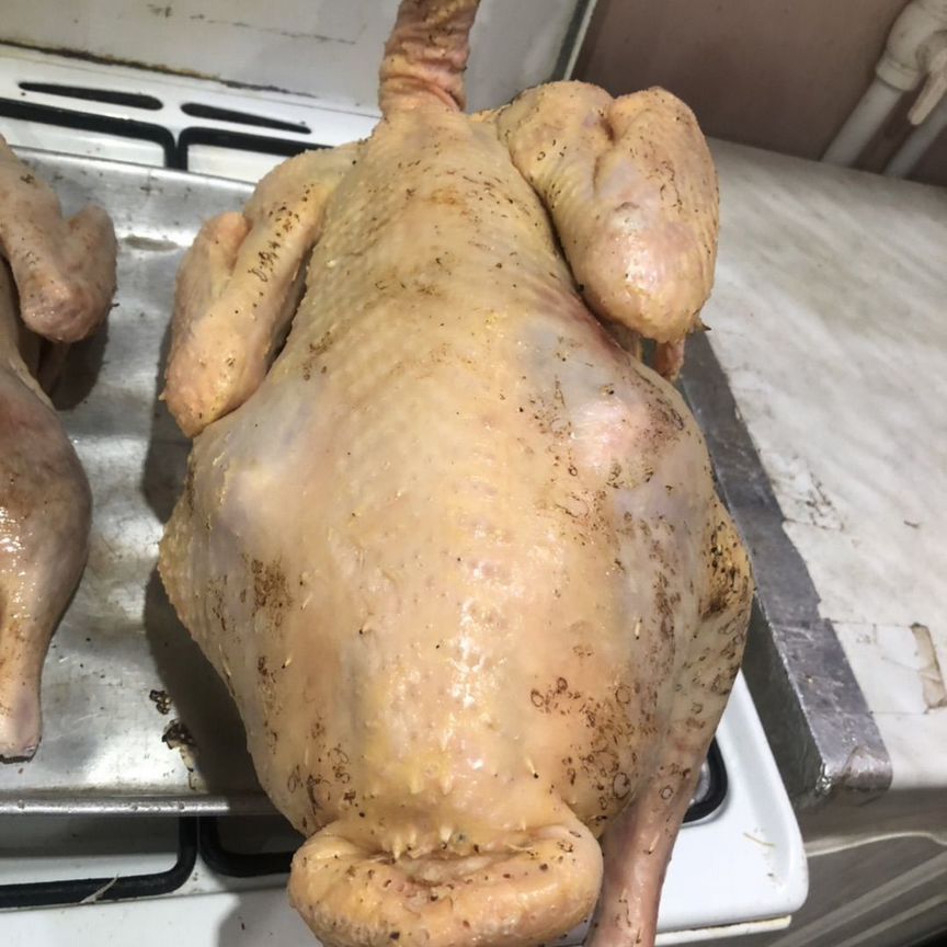 Продам гусей уток кур индейку