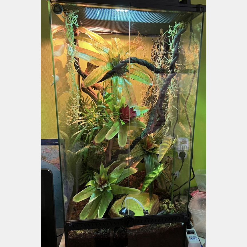 Хабитат для животного (хамелеон) 45х45х90