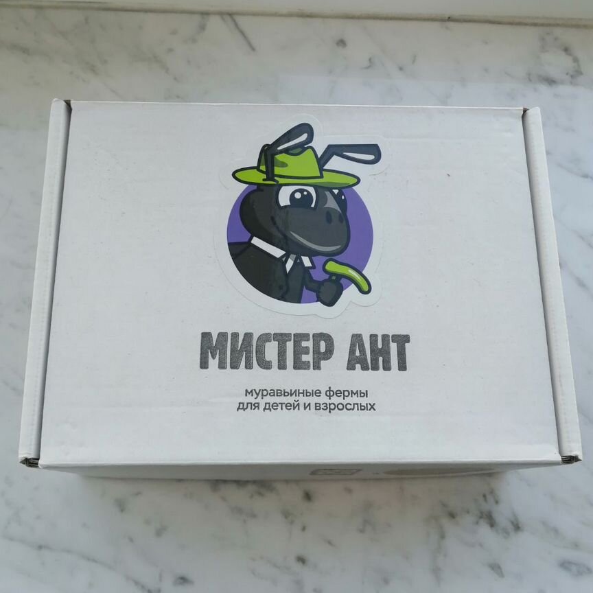 Муравьиная ферма мистер Ант