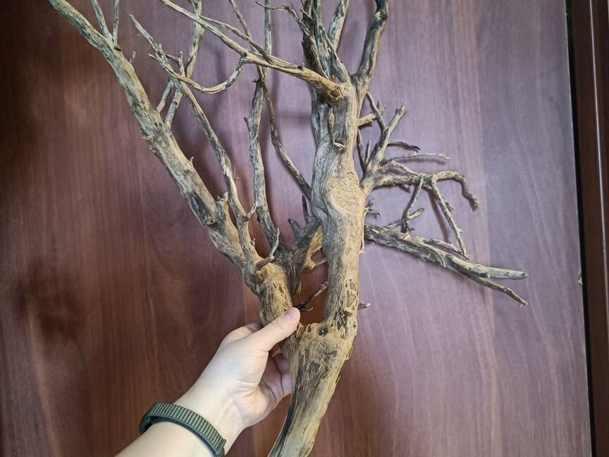 Коряга для террариума