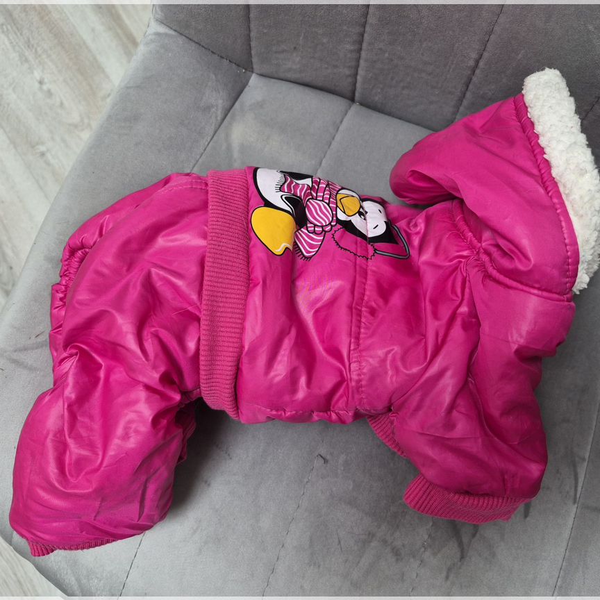 Одежда для маленьких собак зима