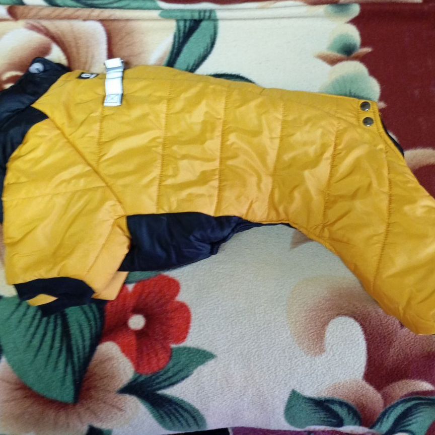 Одежда для собак средних пород -мальчик