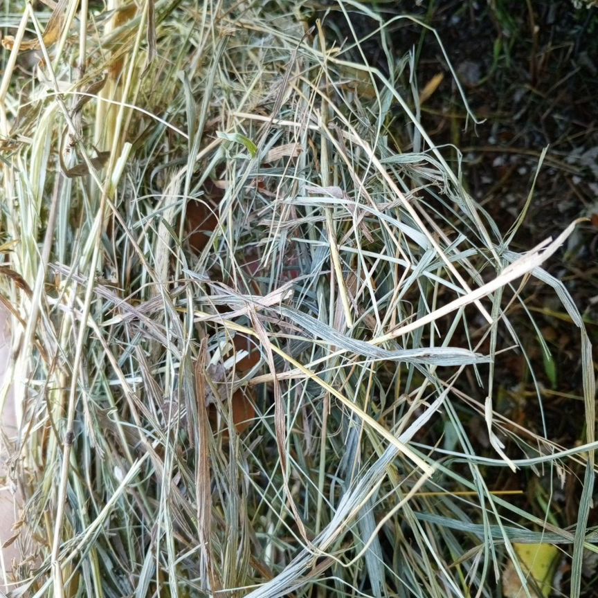 Сено и солома в рулонах