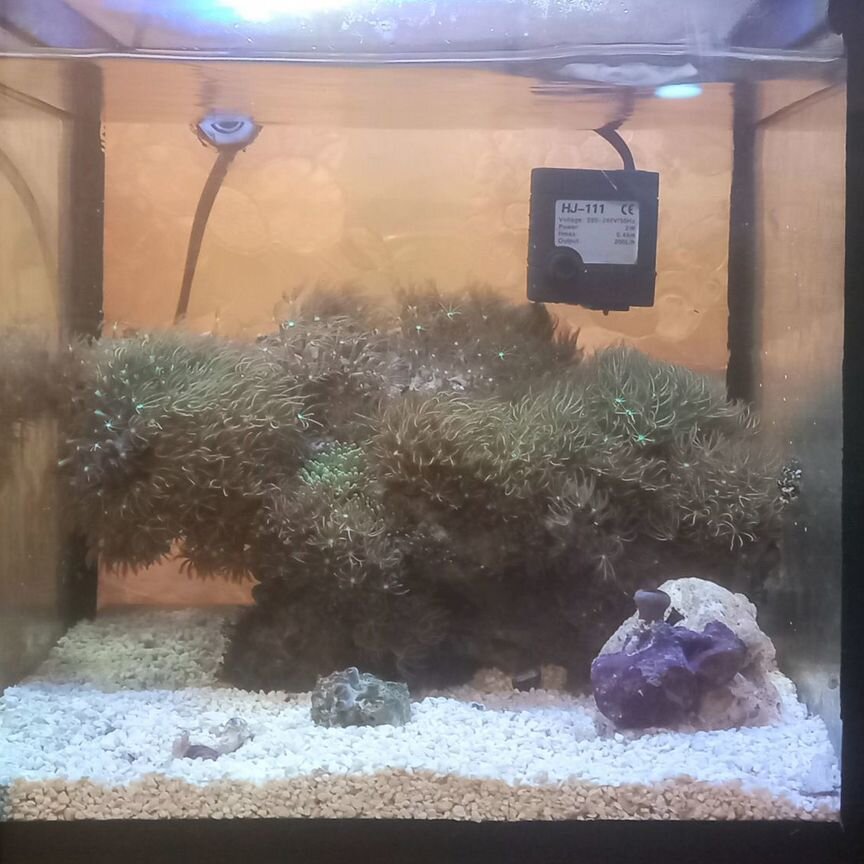 Морской аквариум (мини)