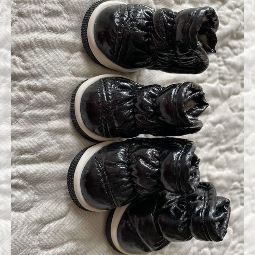 Ботинки зимние для маленькой собачки