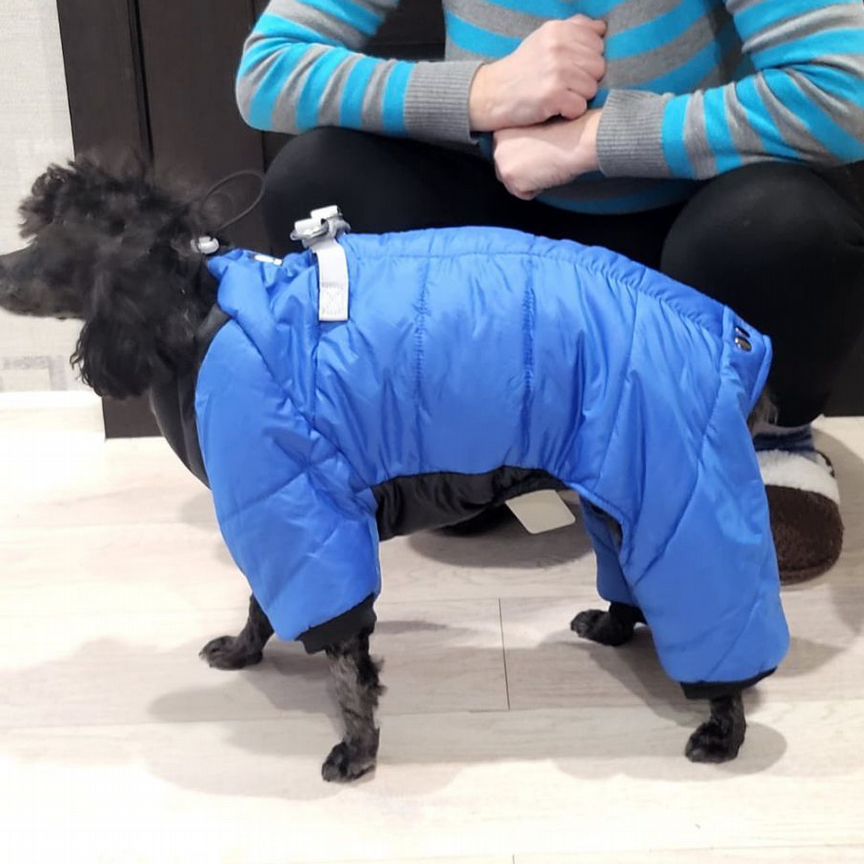 Комбинезон для собаки зима