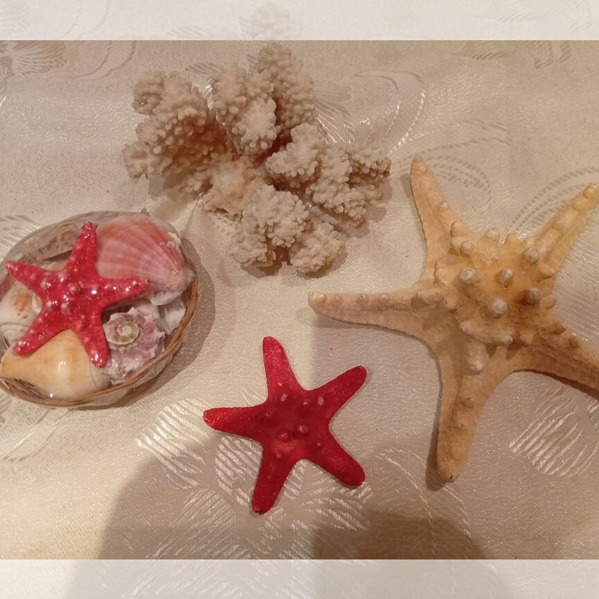 Аквариумные растения