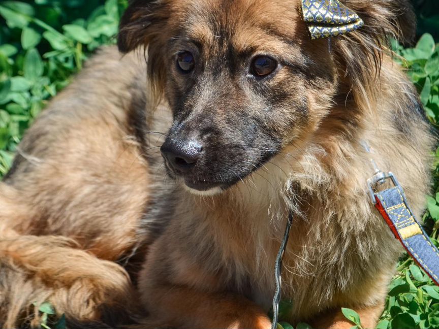 Ищу мамочку