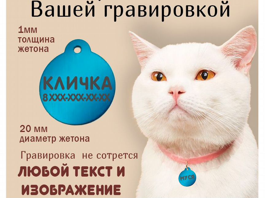 Адресник для животных круглый (металл), голубой