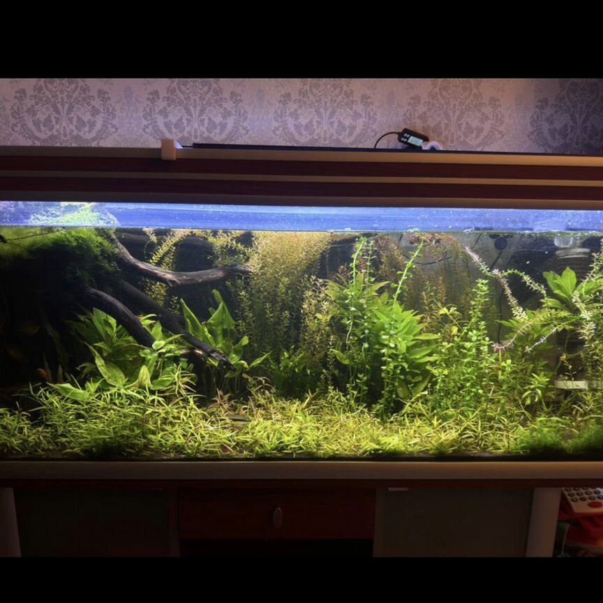 Аквариум с тумбой 400 литров