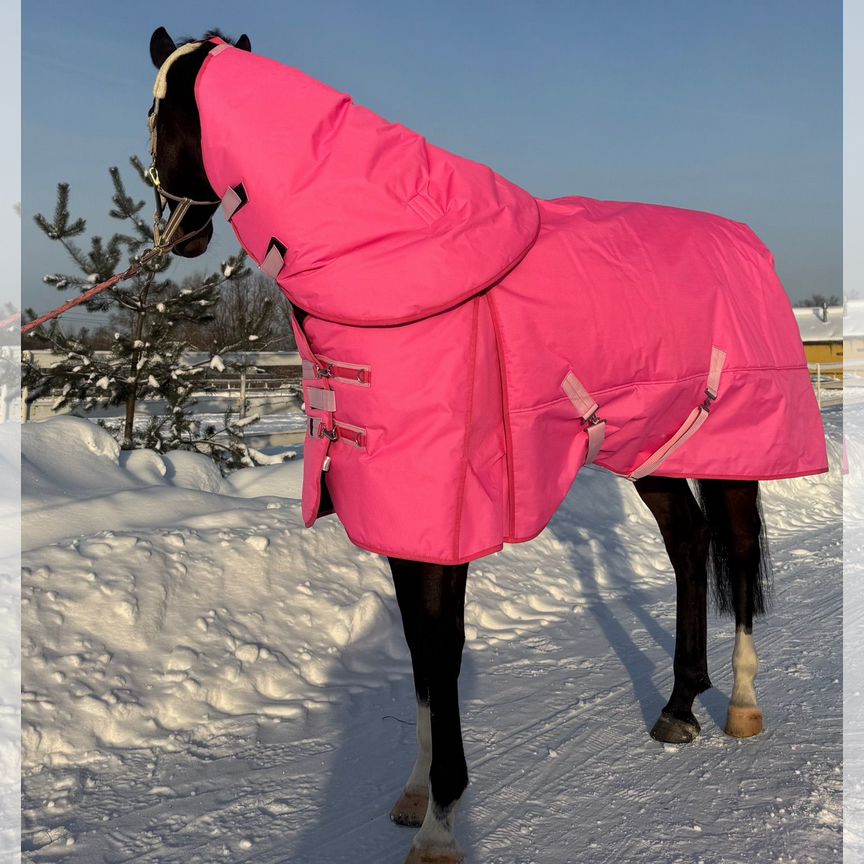 Попона зимняя для лошади