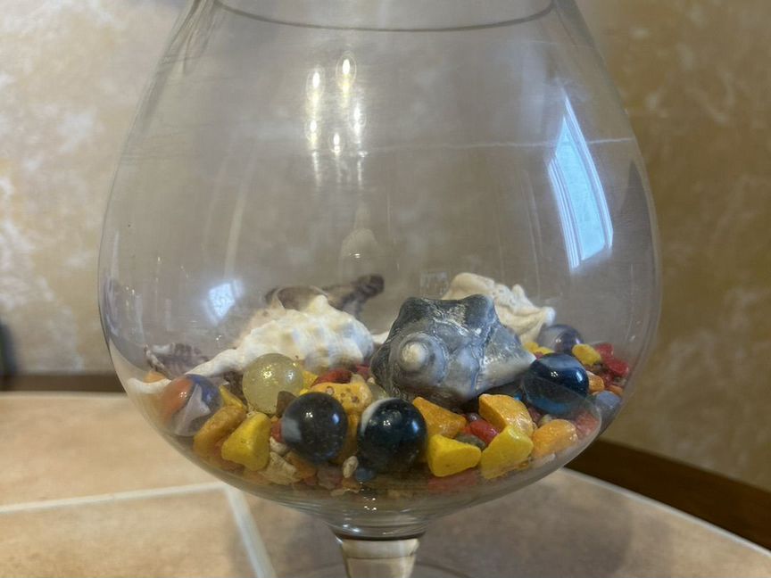 Миниаквариум для золотой рыбки